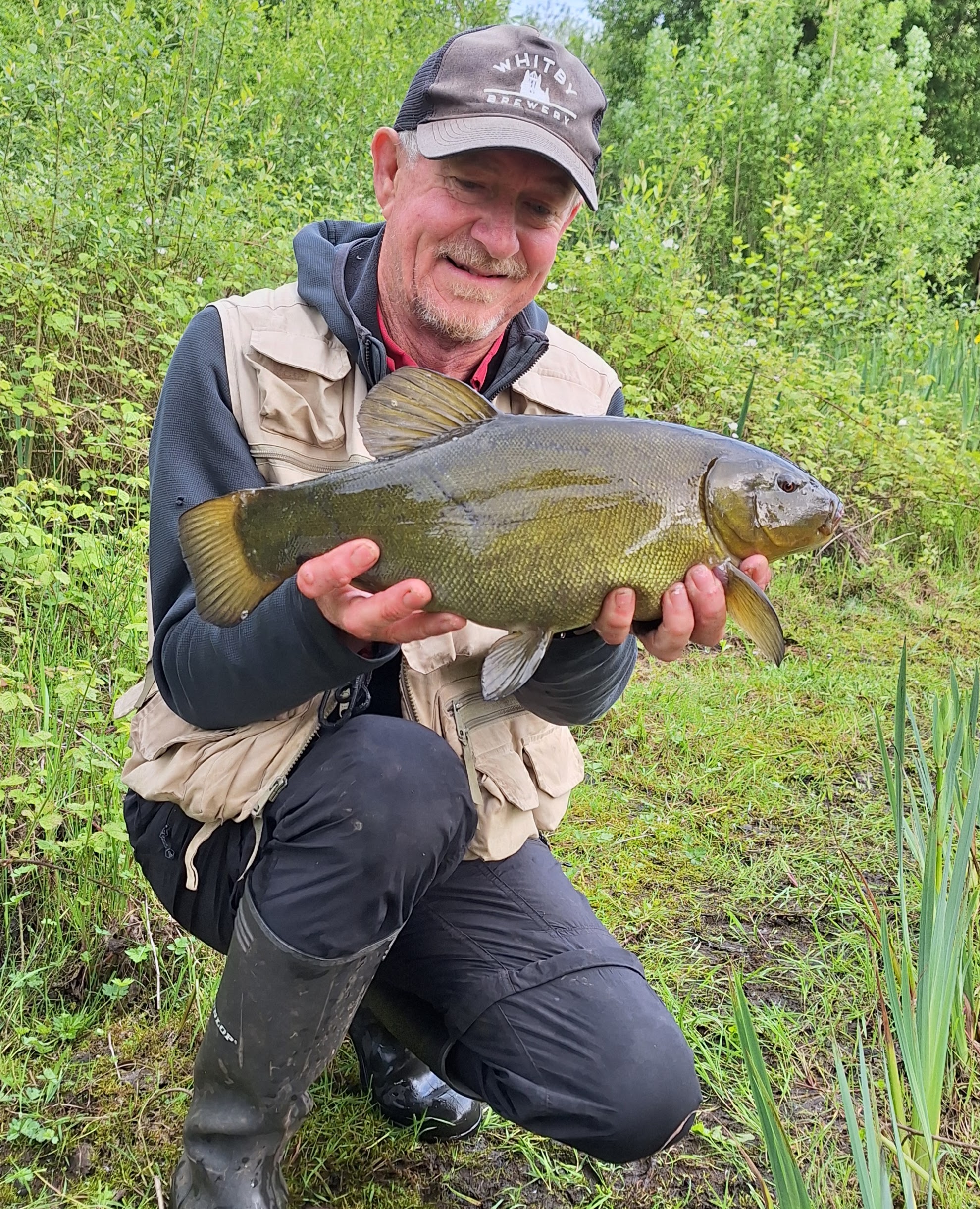 Member's Pond - Tench Back on the Bite - Ilkley Angling Association